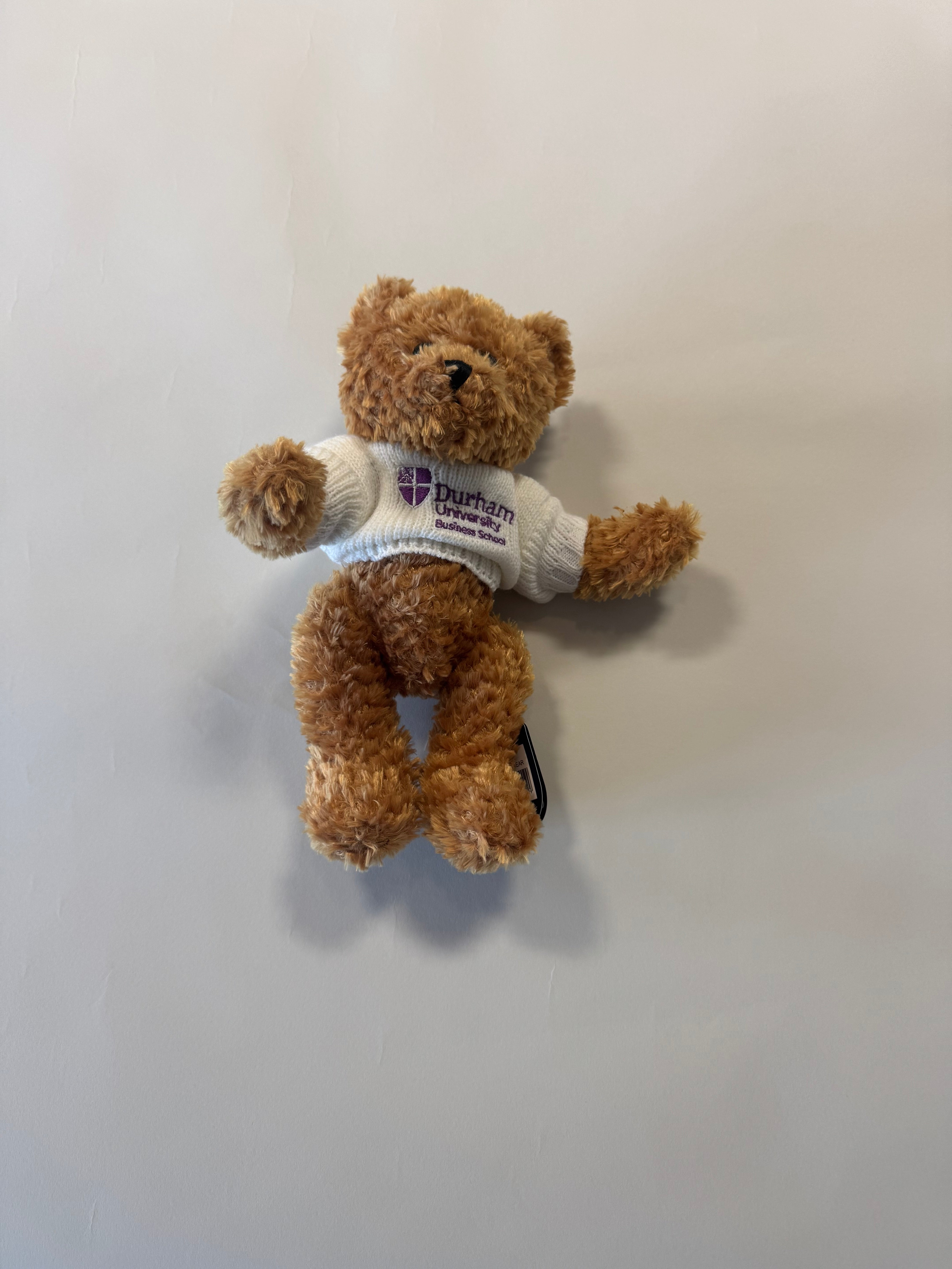 DUBS Toffee Bear – Durham University Retail Store